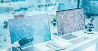 Strand Life Sciences