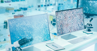 Strand Life Sciences